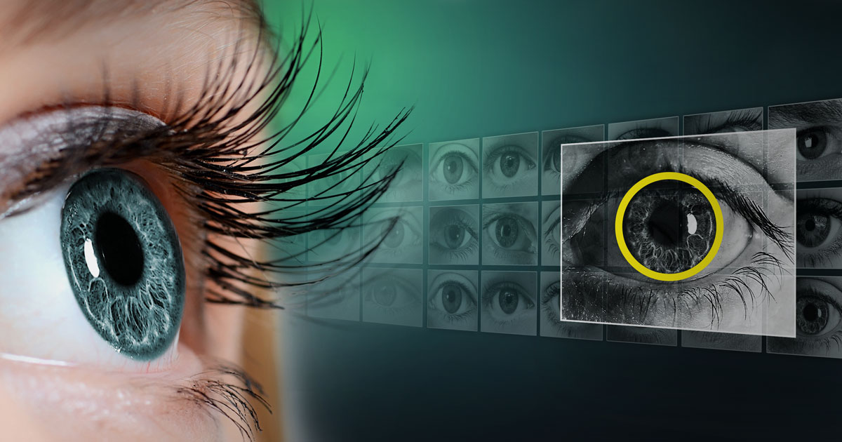 VeriEye eye iris identification technology, algorithm and SDK for PC ...